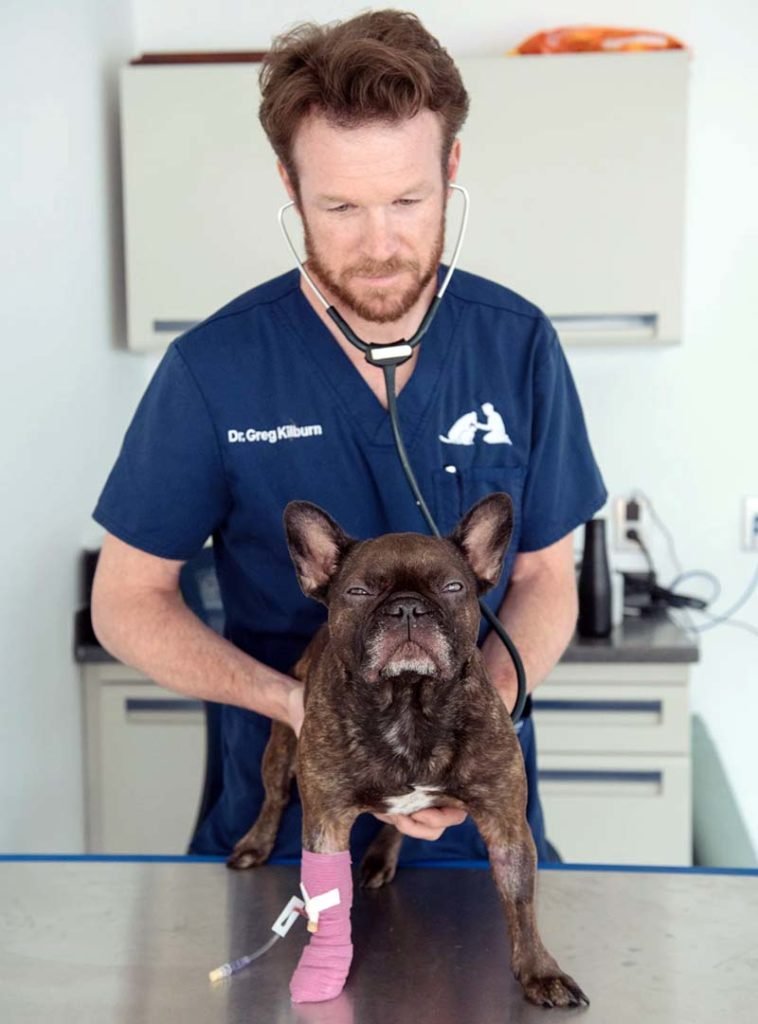 About the show, "Vets Saving Pets" and its doctors.