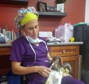 Dr. K’s Exotic Animal Er Cast Dr. Susan Kelleher [Dr. K] Wikipedia ...