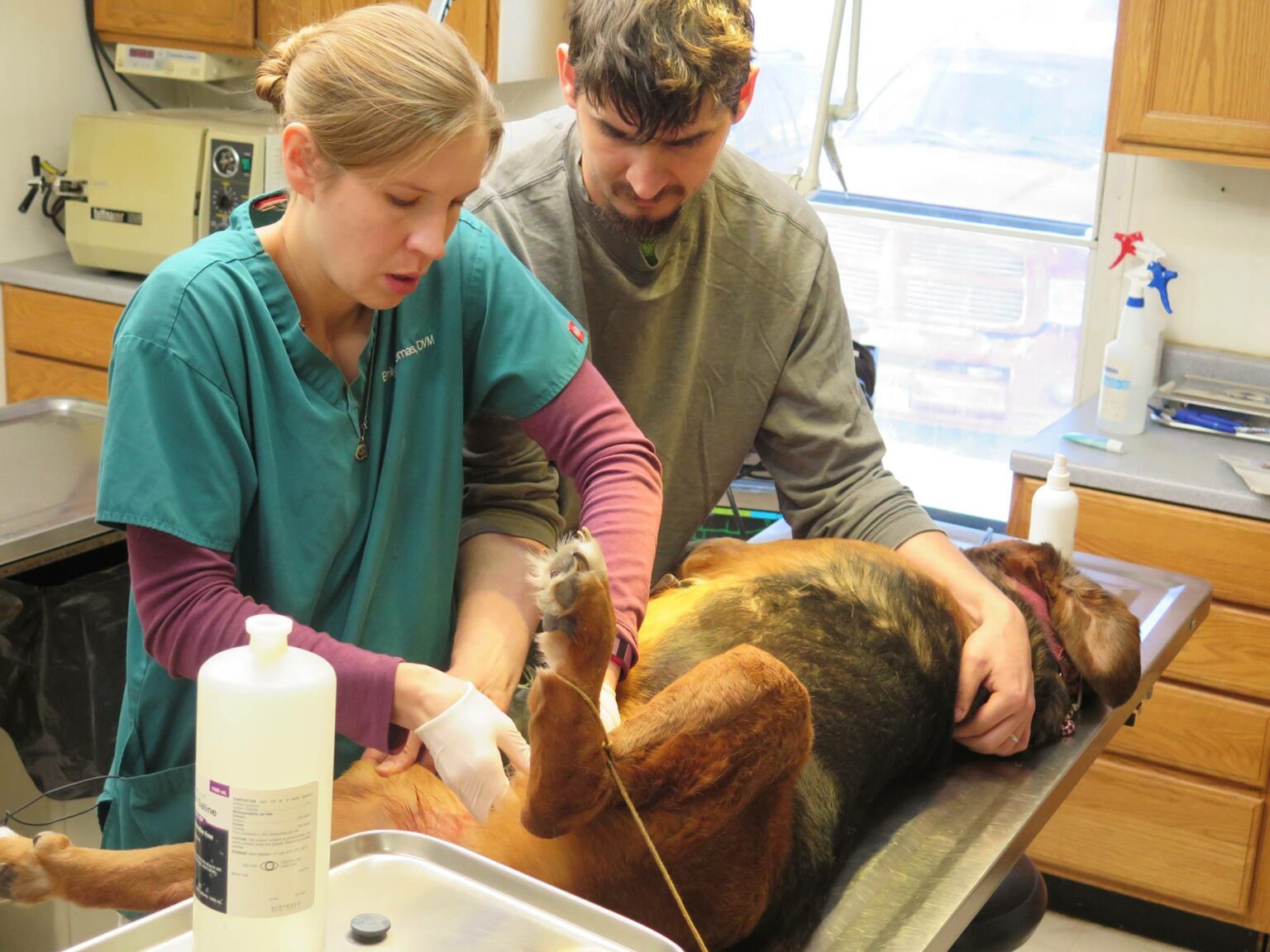 Is Dr. Emily Thomas from “The Incredible Dr Pol” Pregnant Again?